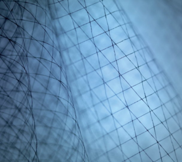 Laid scrim | Vetrotex